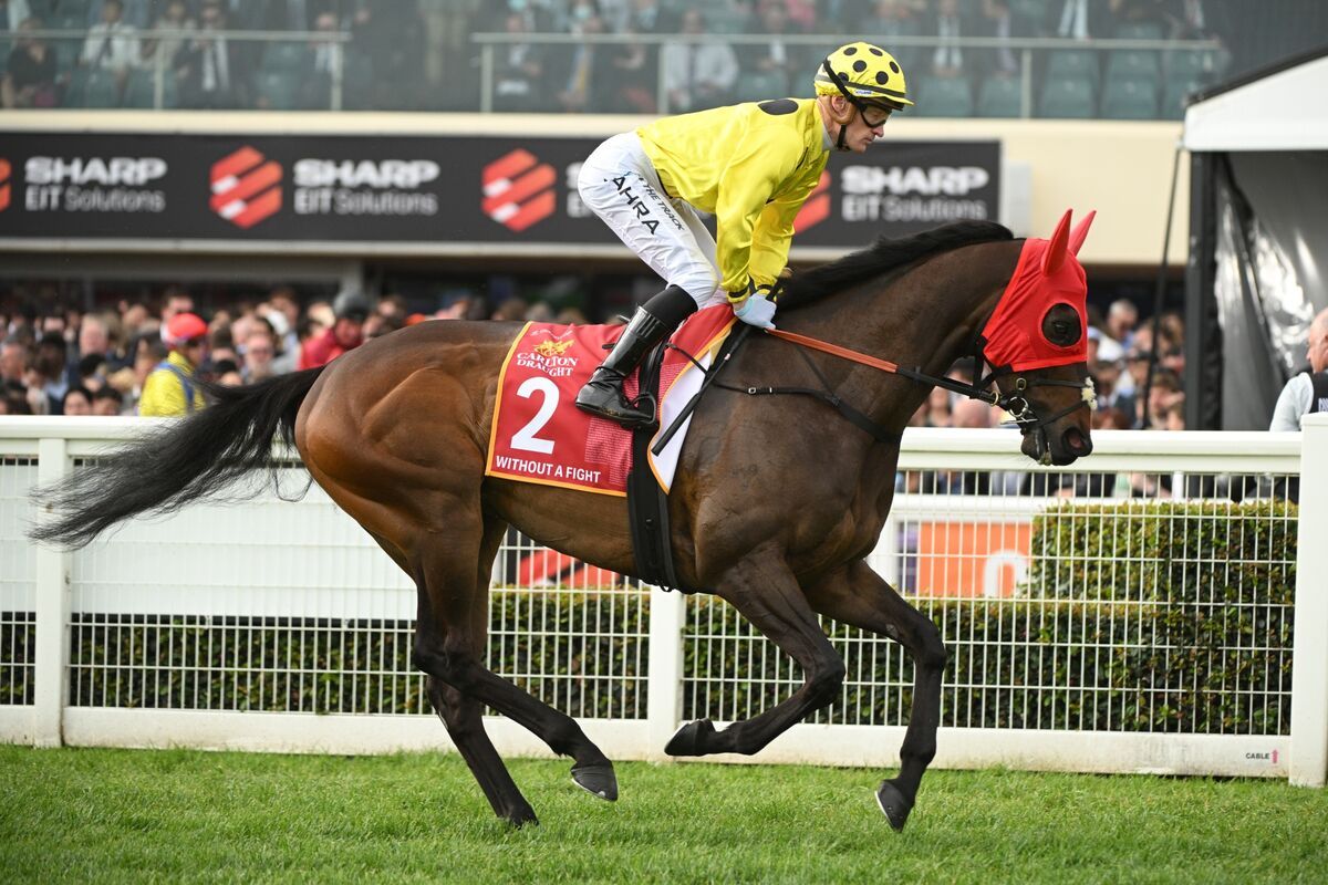 Residz - Will the Interest Rate Jump be the Rise that Stops Inflation?